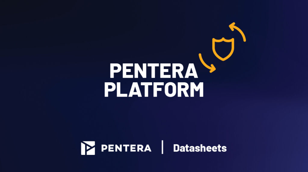 Your Guide to Pentera's Security Solutions