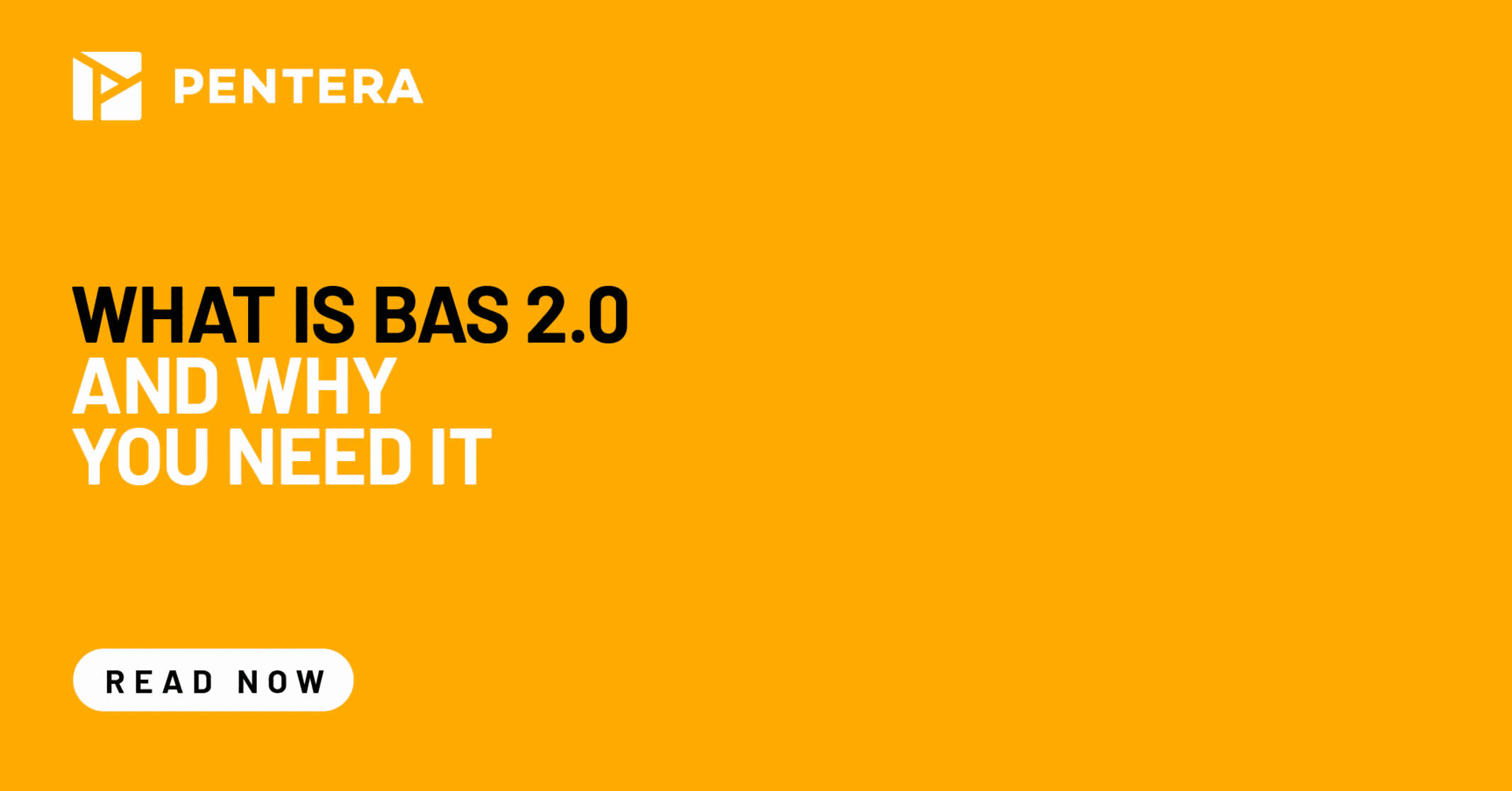 Breach and Attack Simulation (BAS) Tools: BAS 2.0 is the Future