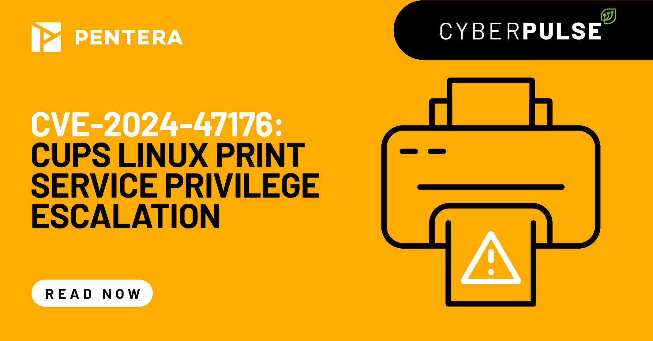 Test Your Linux Security: Validate CVE-2024-47176 with Pentera