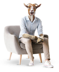 About Us: Meet Pentera and our security validation platform